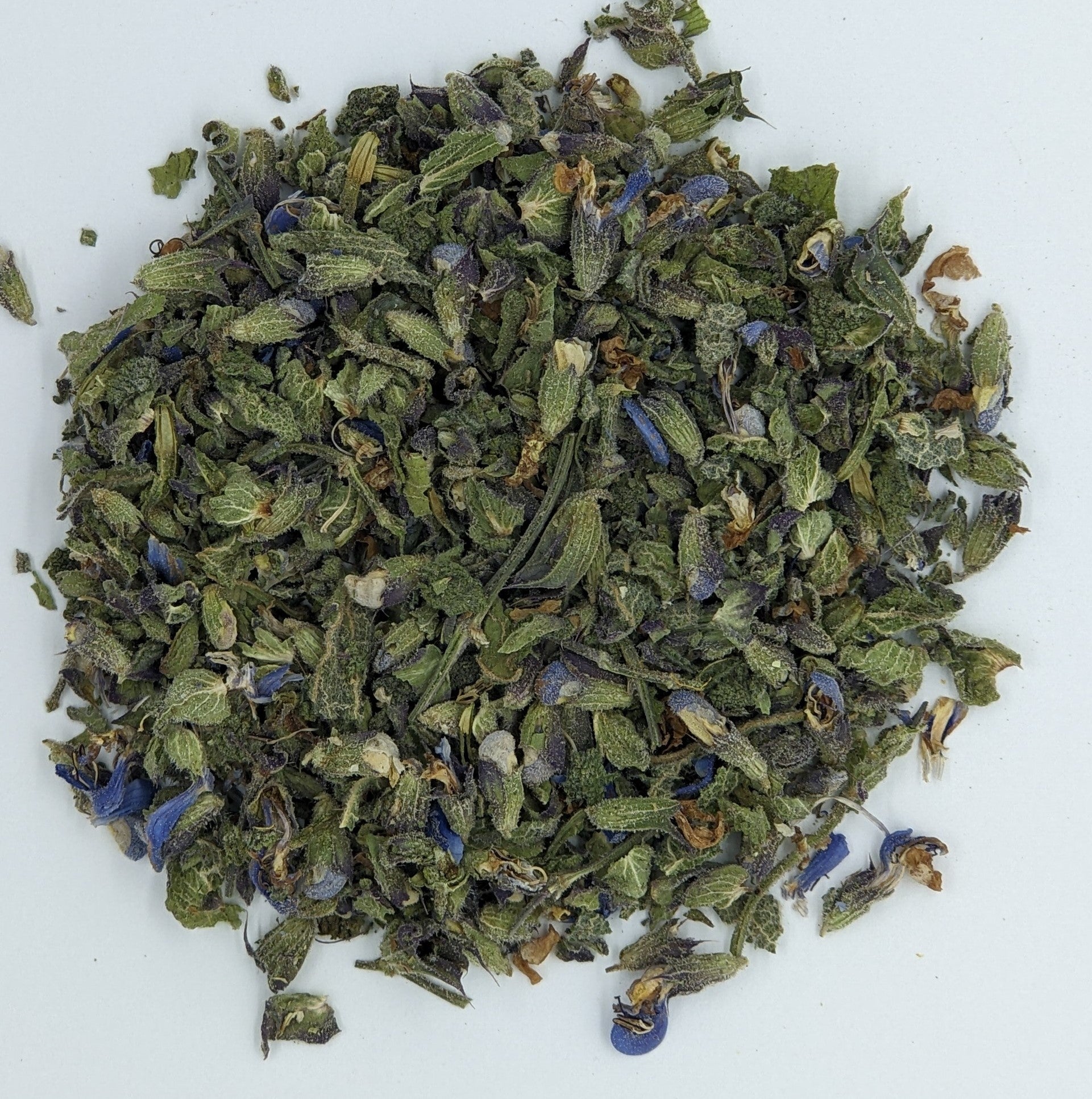 Clary Sage (Dried) | Root Digger Herb Farm