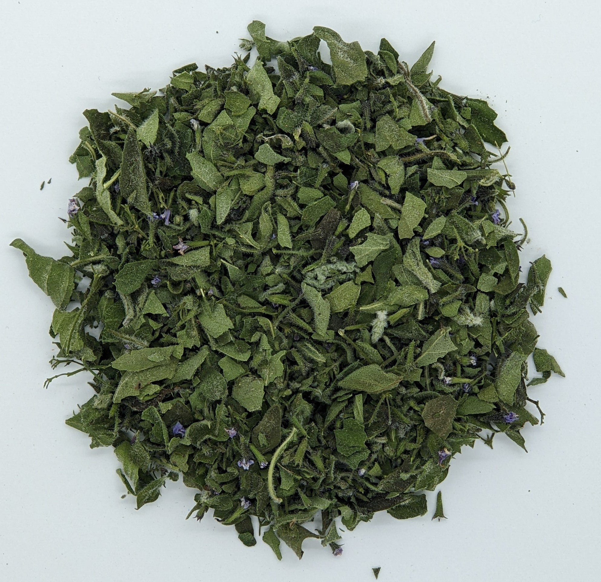 Nepitella (Dried) | Root Digger Herb Farm
